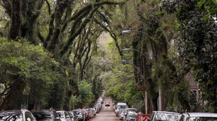 Rua mais bonita do mundo fica no Brasil e inspira cidades ao redor do ...